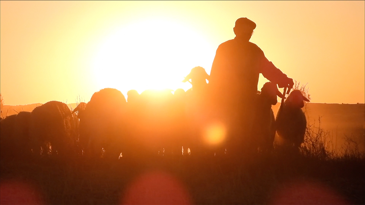 #1192 自分の弱さを認める勇気 | 聖書と福音